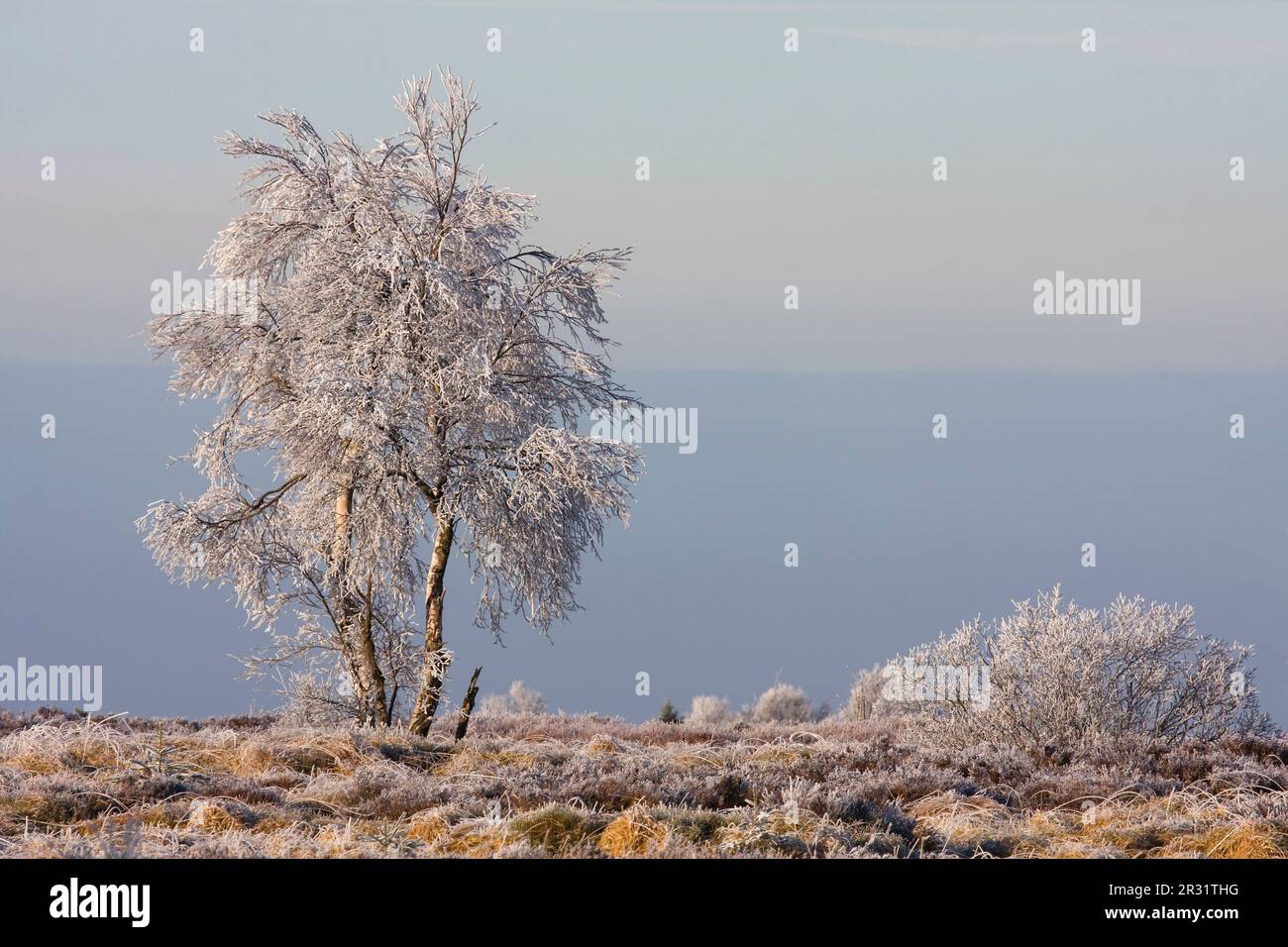 Winter fens hi-res stock photography and images - Alamy