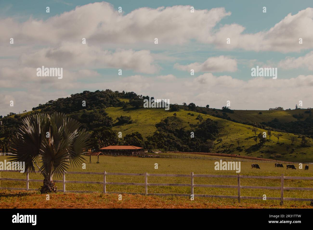 Peaceful terrain hi-res stock photography and images - Alamy