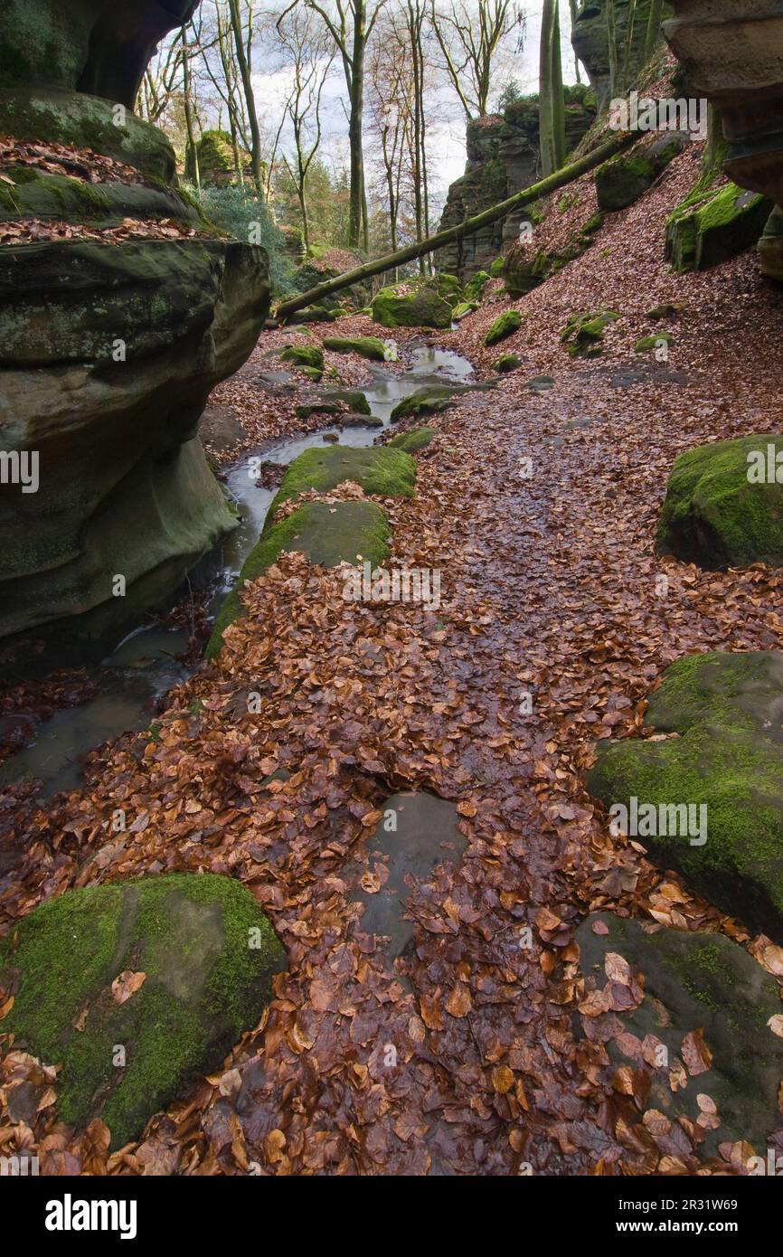 The Devil's Gorge Stock Photo - Alamy