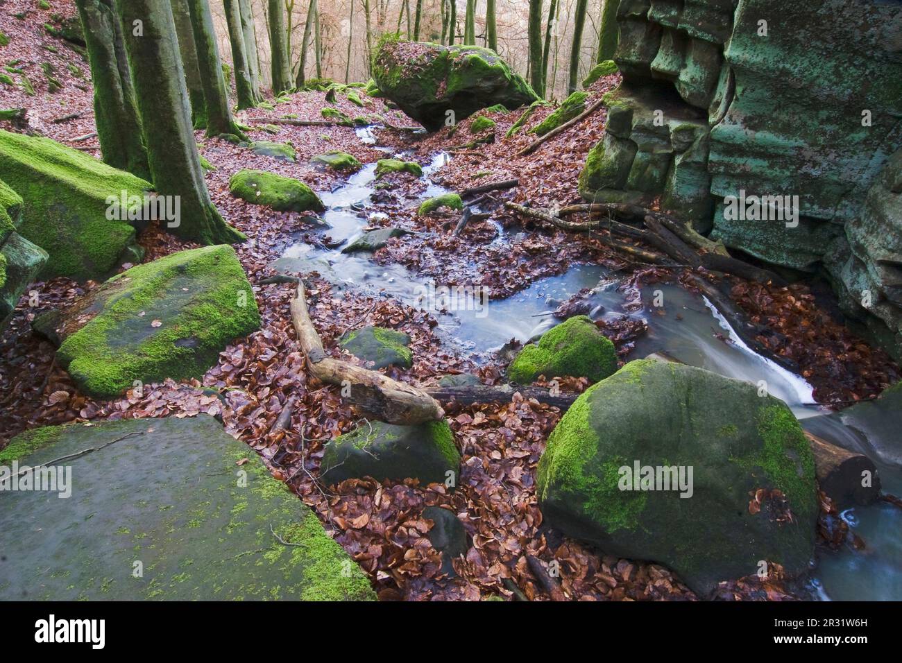The Devil's Gorge Stock Photo - Alamy