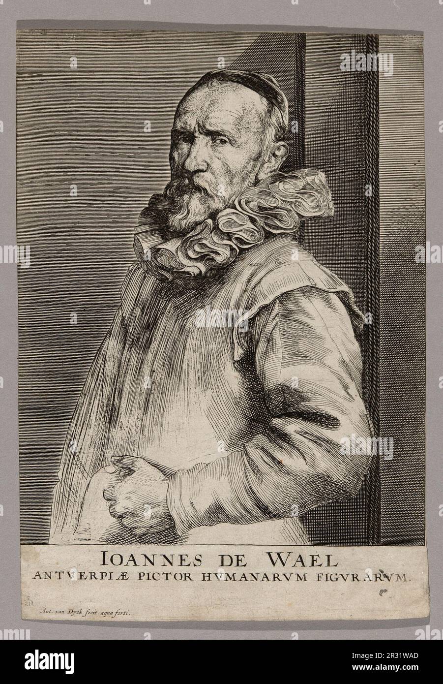 De wael hi-res stock photography and images - Alamy