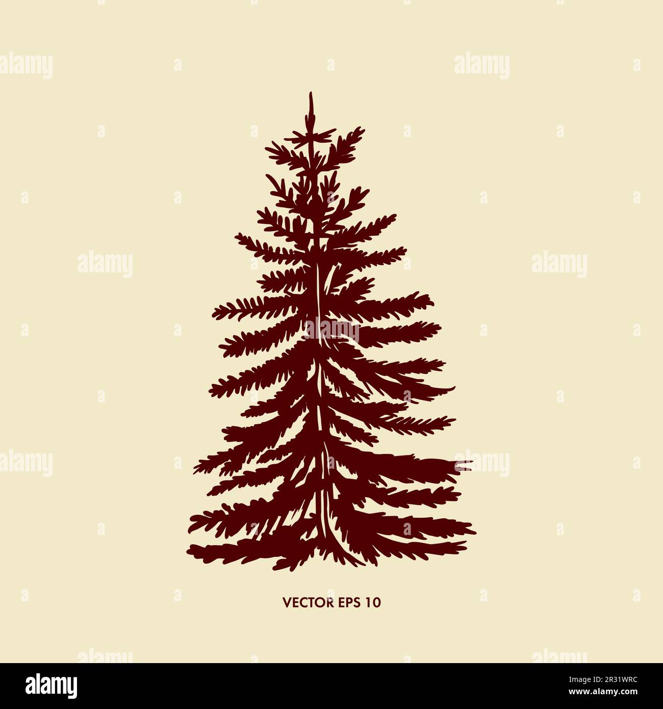 Vector illustration of a coniferous tree, spruce. One-color image. An ...
