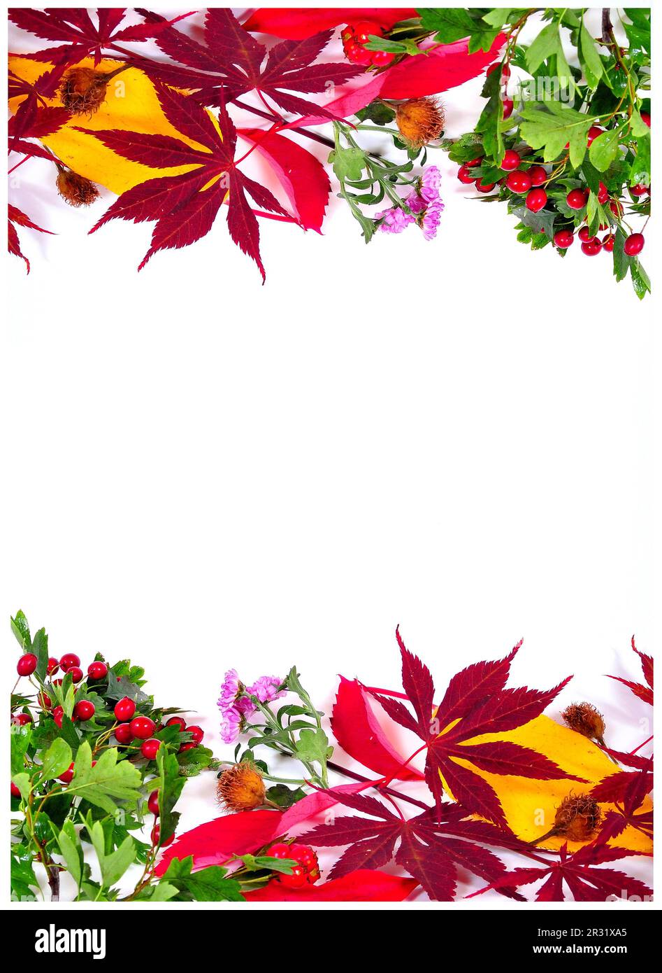 Autumn bouquet flowers Cut Out Stock Images & Pictures - Alamy