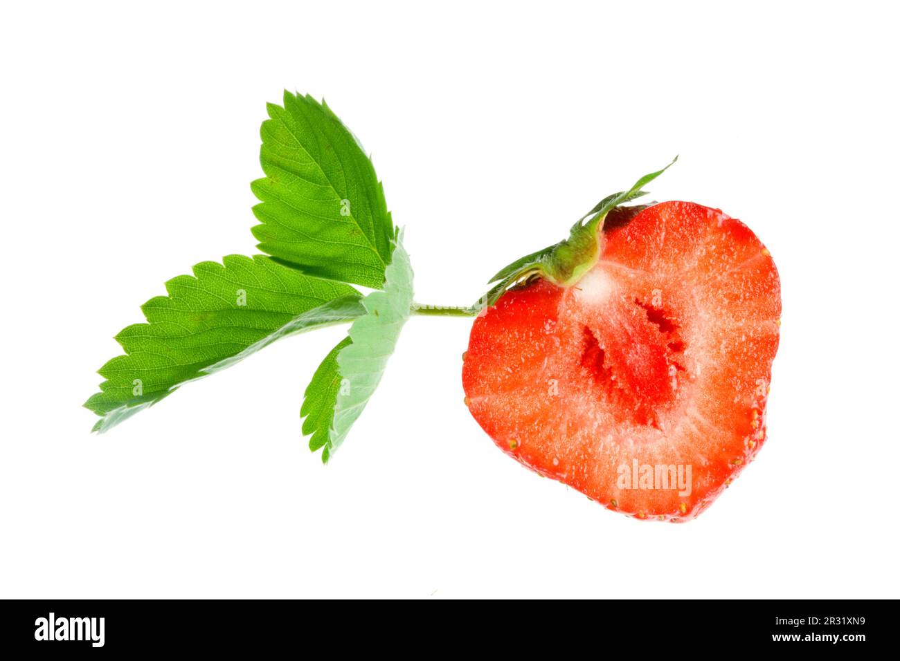 Plant strawberry slice hi-res stock photography and images - Alamy