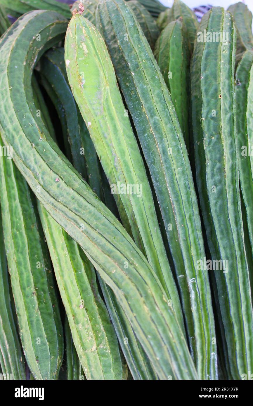 sorosi or bittergourd renowned medicinal plant of Belize on a market ...
