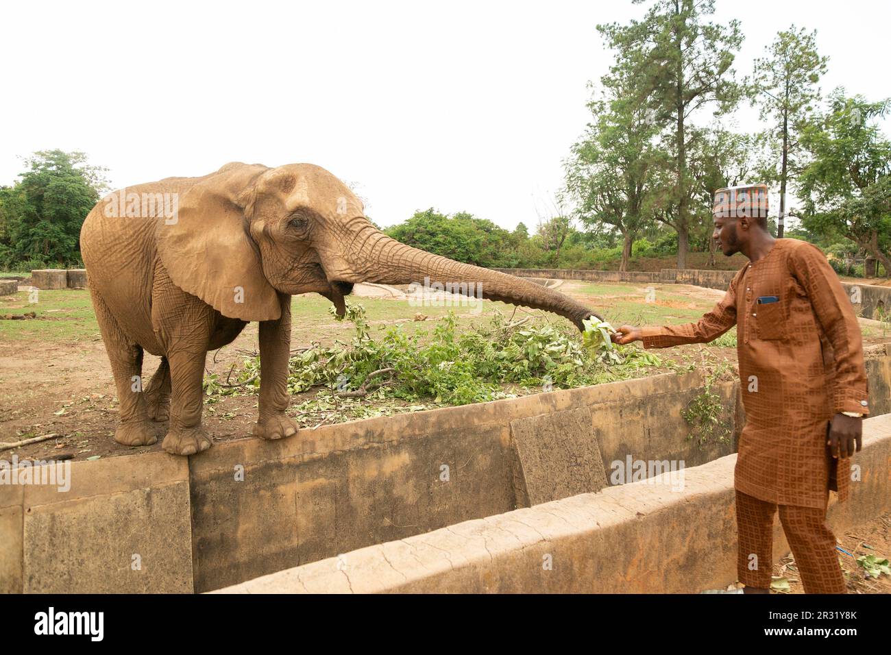 A man feeding an elephant at the Wildlife Park, Jos, Plateau State ...
