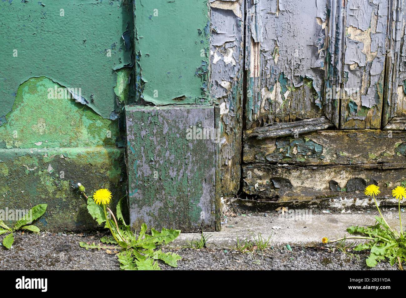Front door needs paint hi-res stock photography and images - Alamy