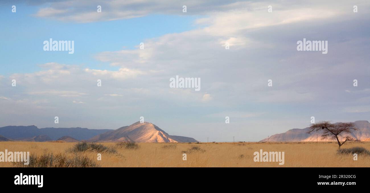 Namibia landscape hi-res stock photography and images - Alamy