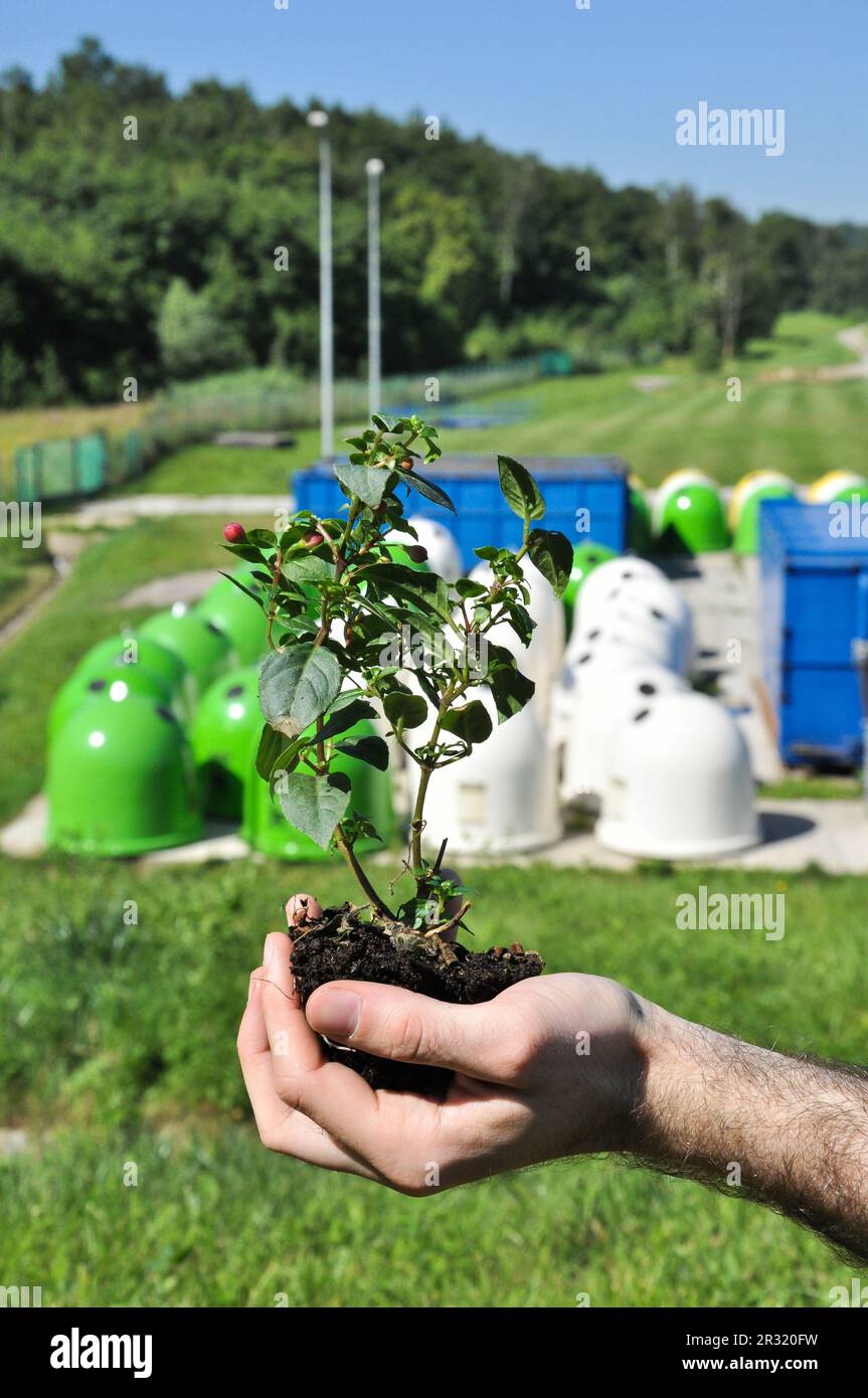 Nature against trash, flower (seedling) in hand in the foreground in a ...