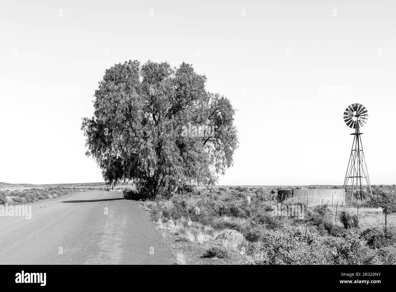 A landscape, with a windmill, dam and large tree, on the road between ...
