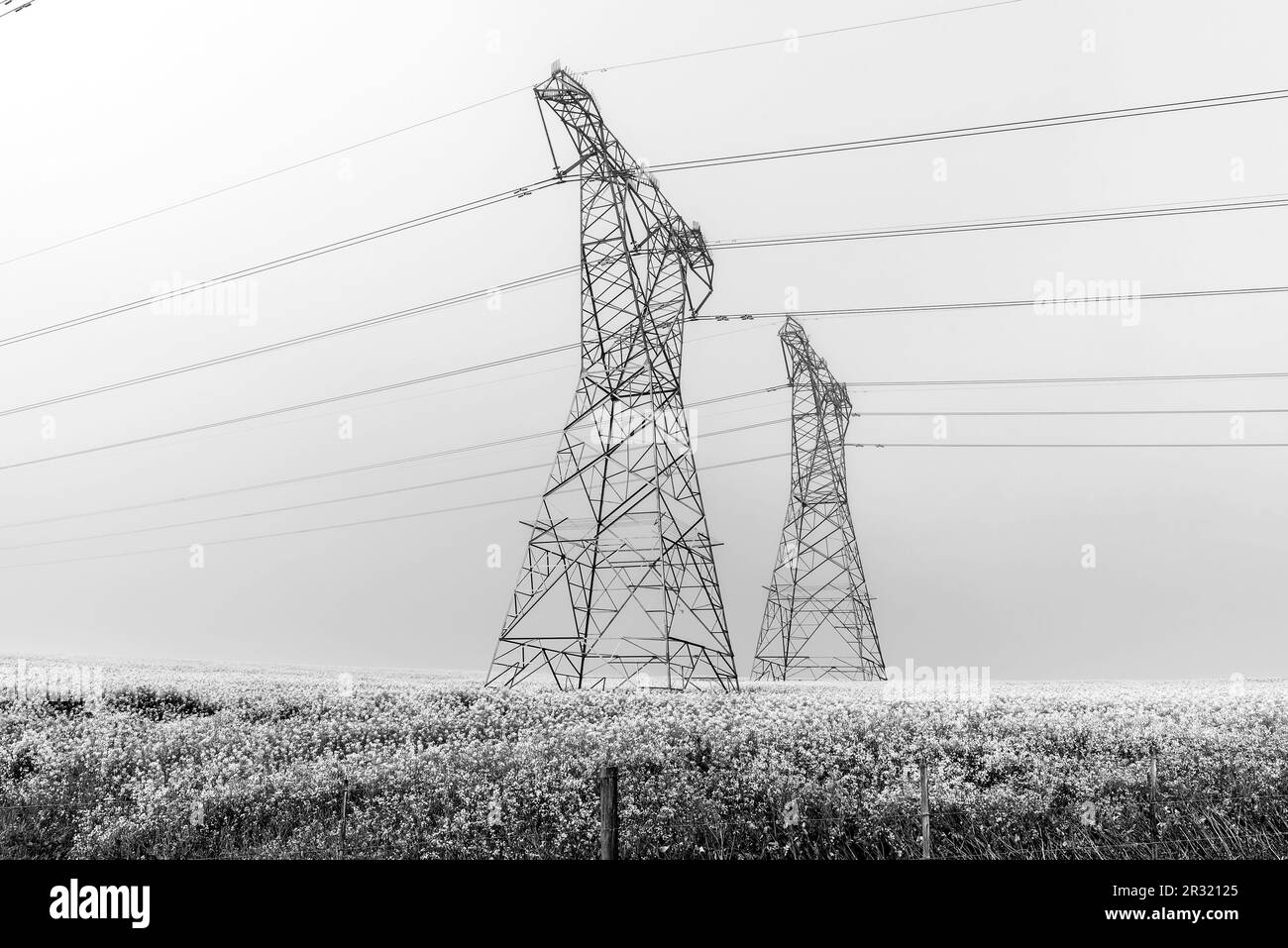 Delta electricity Black and White Stock Photos & Images - Alamy
