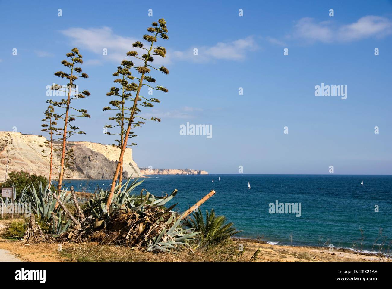 Coastal section in Luz Stock Photo - Alamy