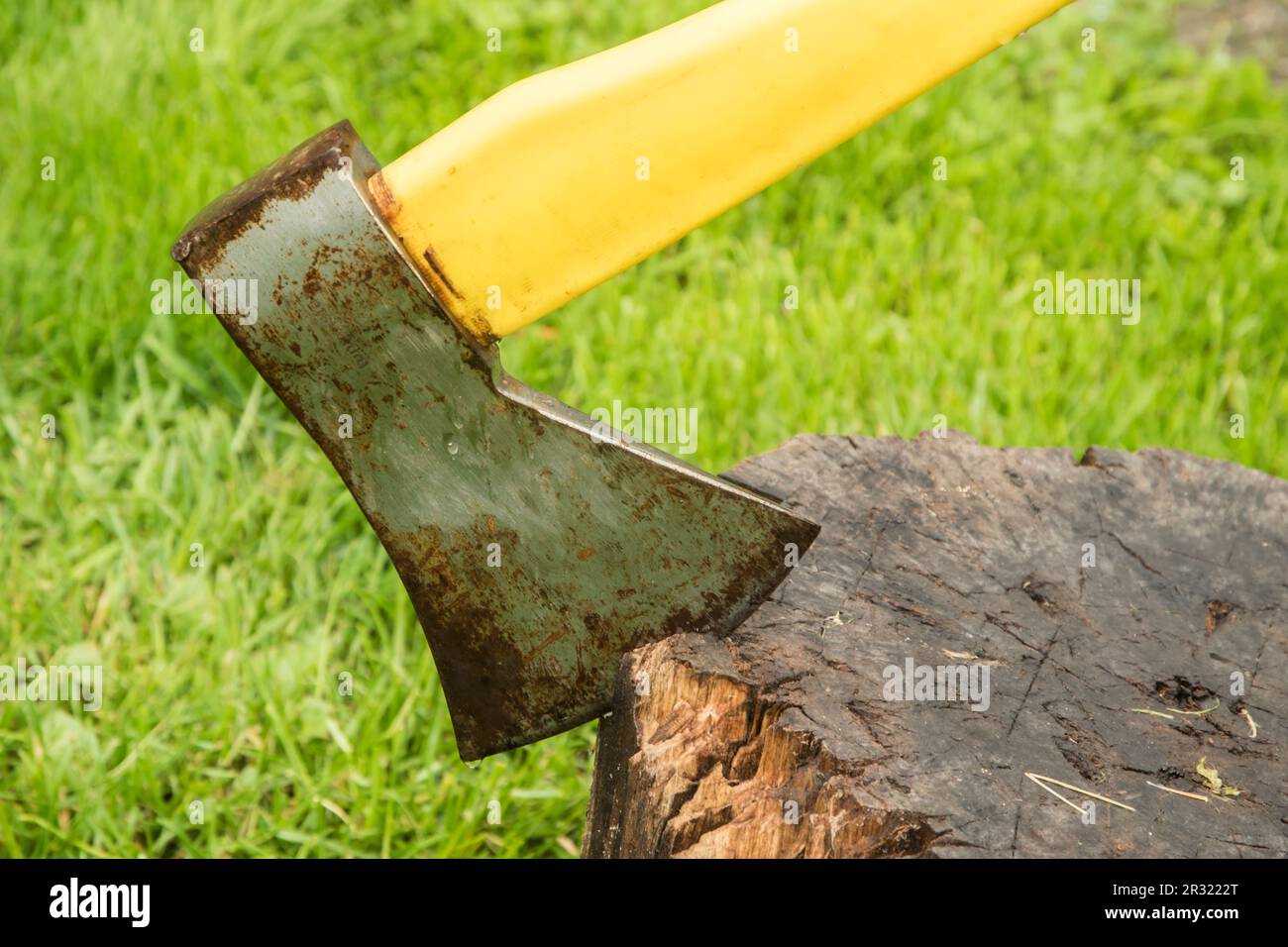 Ax stuck in tree hi-res stock photography and images - Alamy