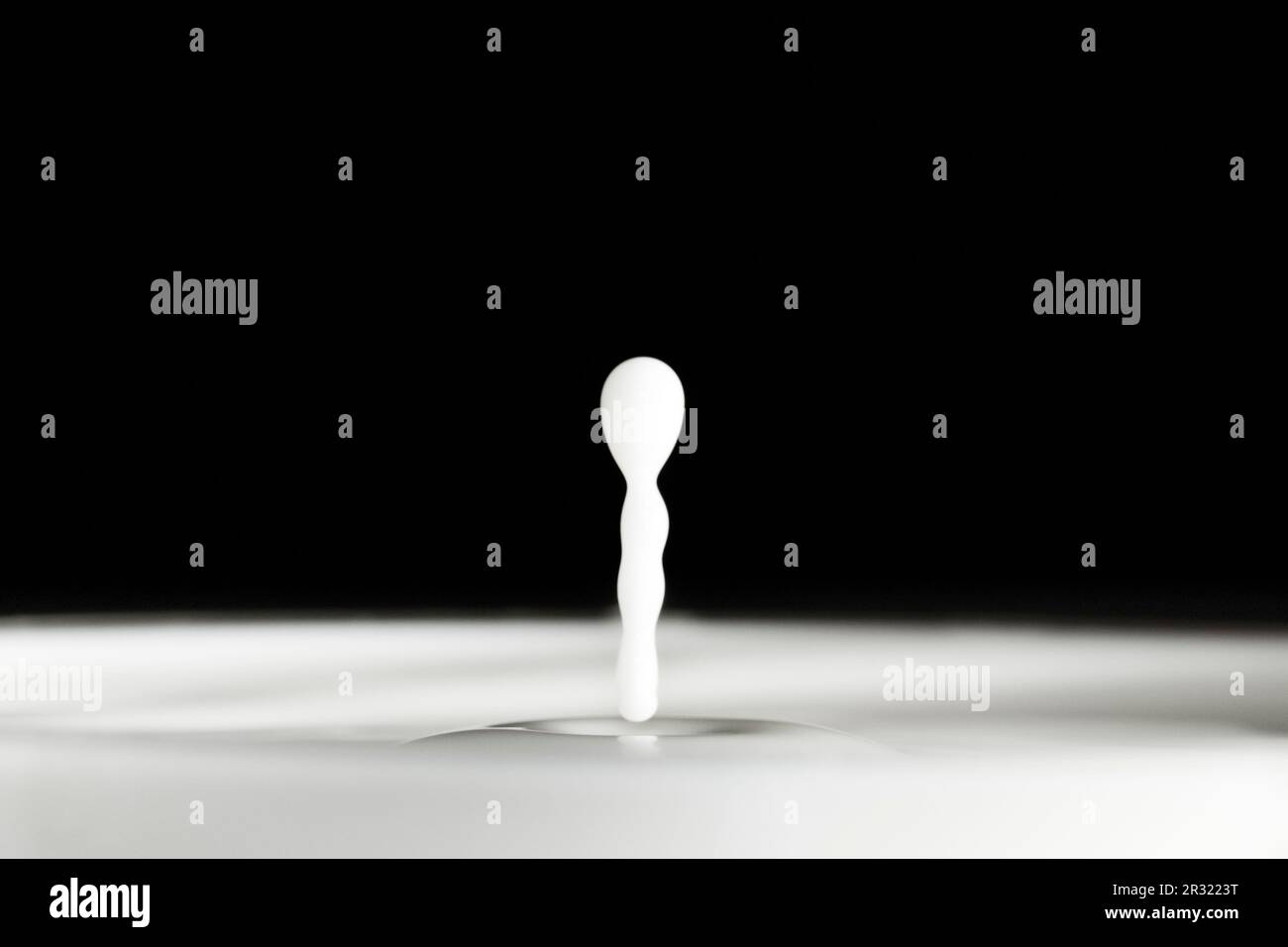 Milk splash white drop hi-res stock photography and images - Alamy