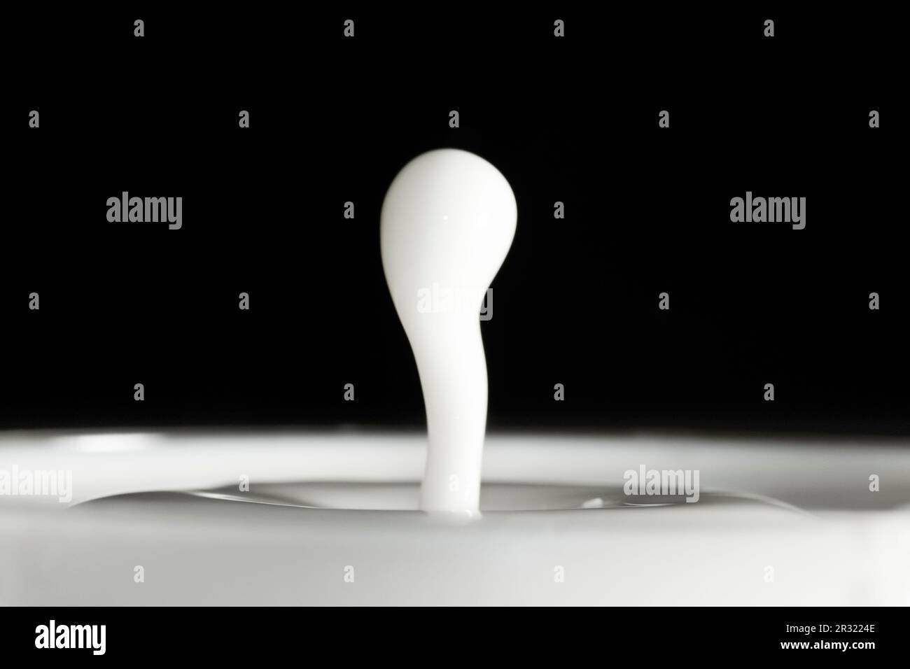 Splash milk drop Stock Photo - Alamy