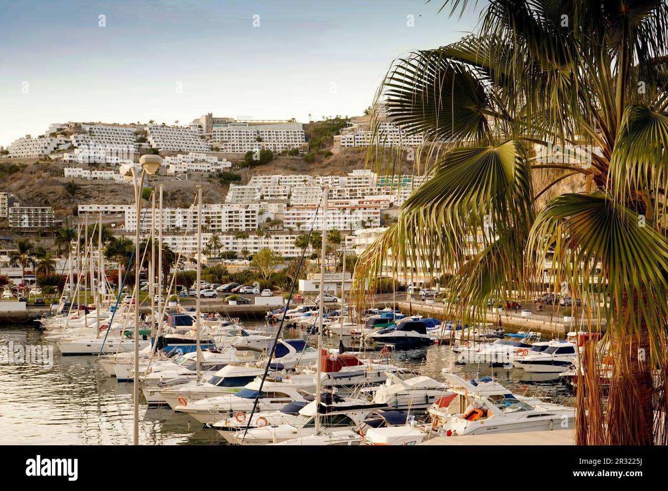 Puerto Rico , Gran Canaria, Canary Islands, Spain Stock Photo - Alamy