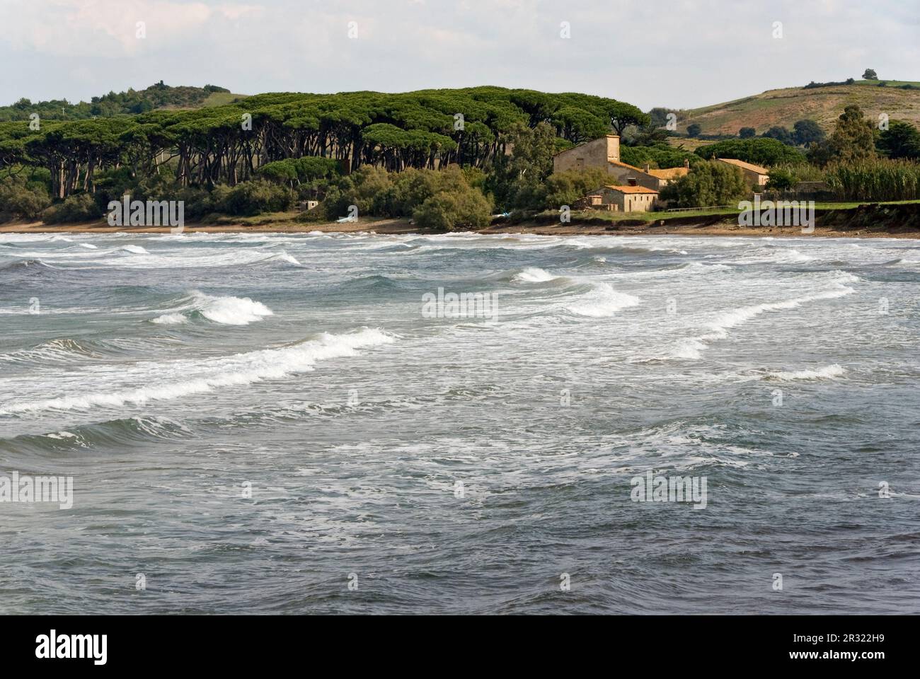Coastal section in Populonia Stock Photo - Alamy