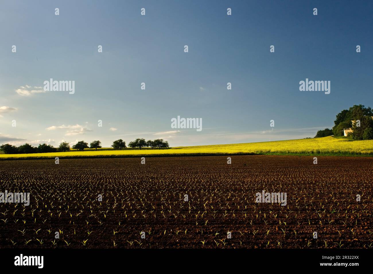 Laubach hi-res stock photography and images - Alamy