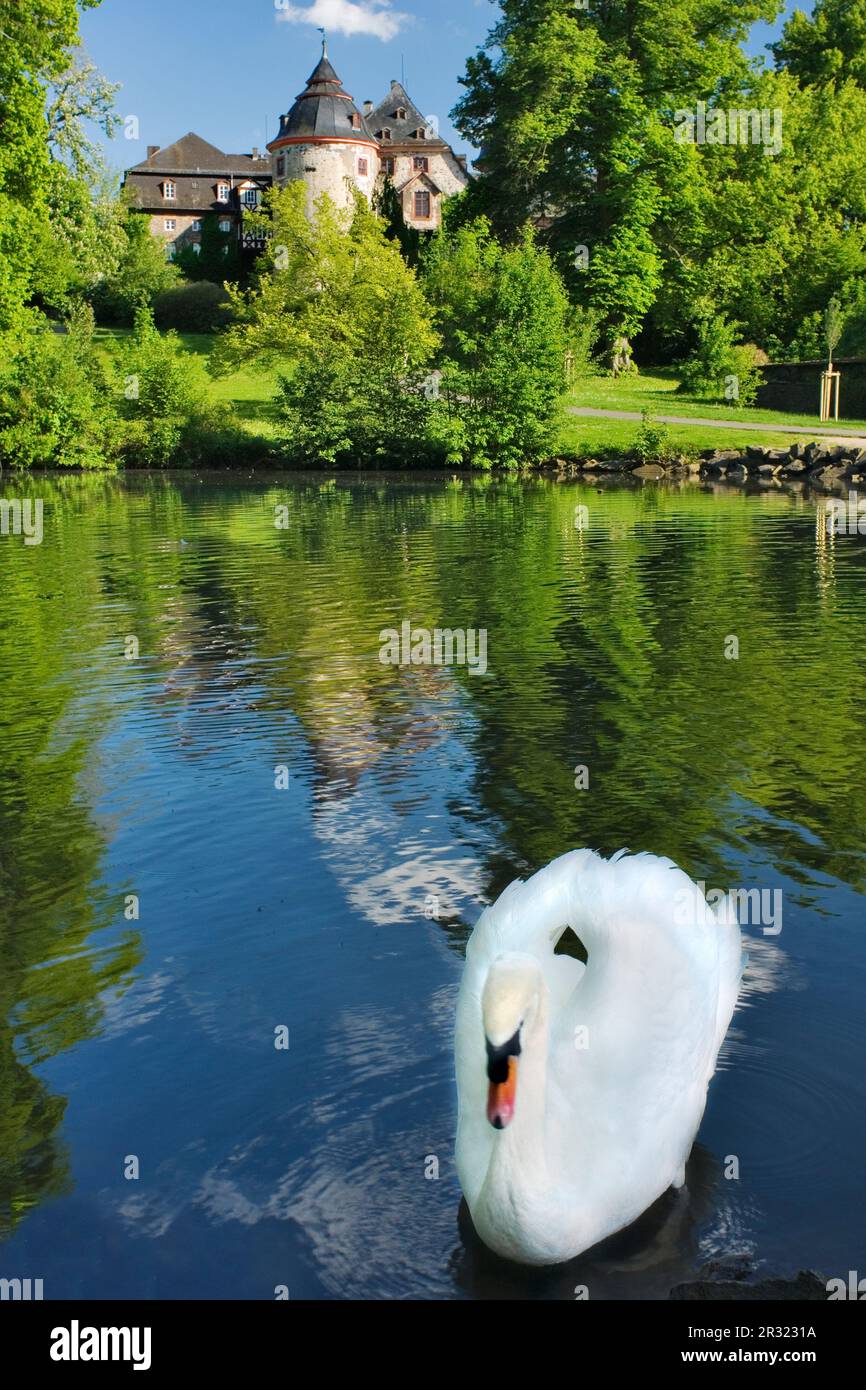 Laubach hi-res stock photography and images - Alamy