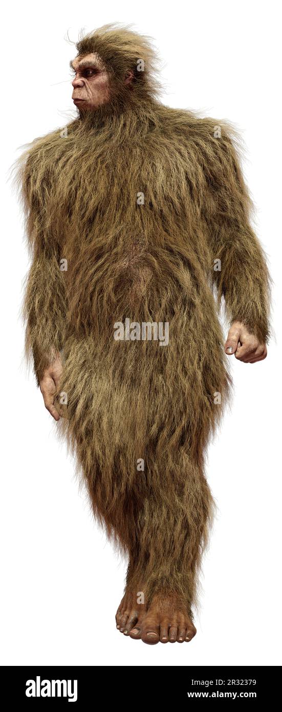 3D rendering of a Sasquatch or Bigfoot isolated on white background ...