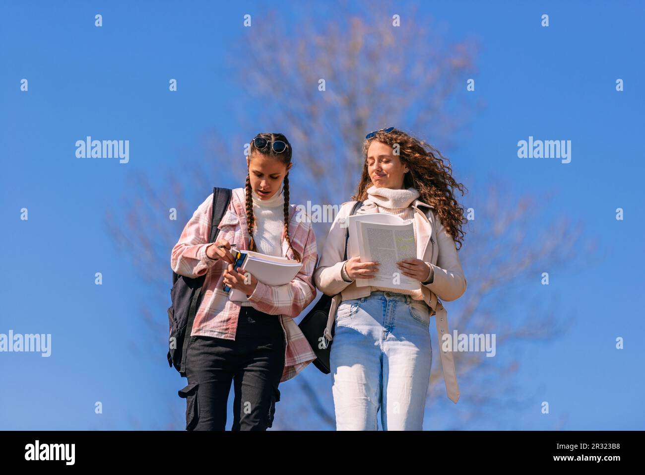 Lovely high school girls holding books walking Stock Photo - Alamy