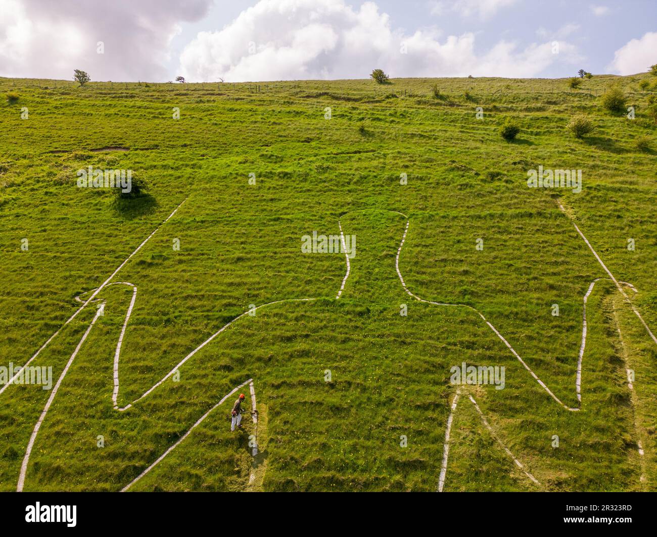 The long man of wilmington being striimmed by volunteers hi-res stock ...