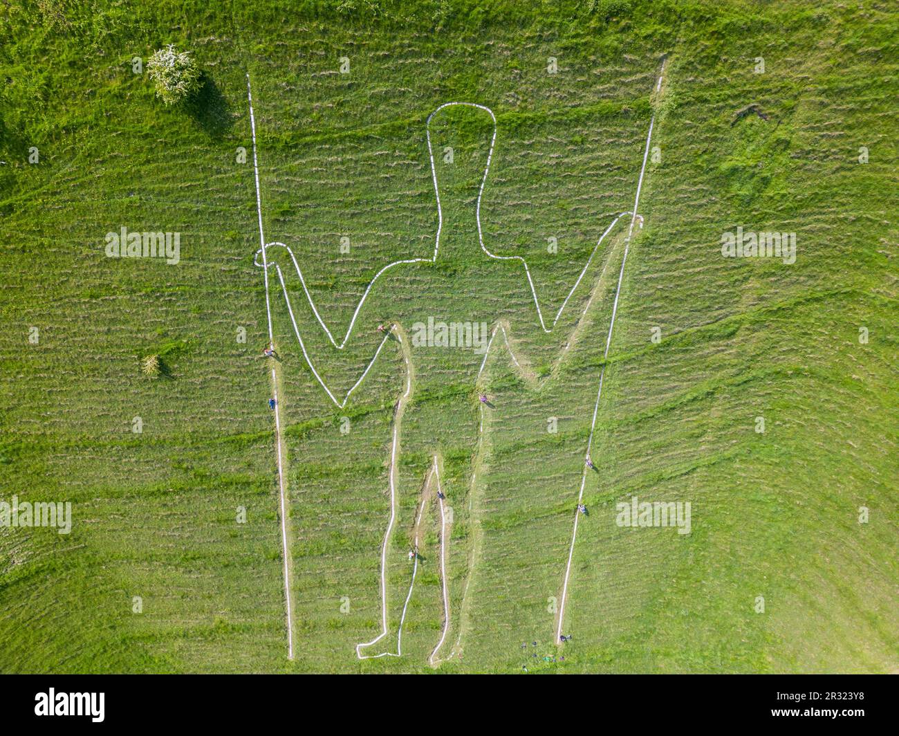 The long man of wilmington being striimmed by volunteers hi-res stock ...
