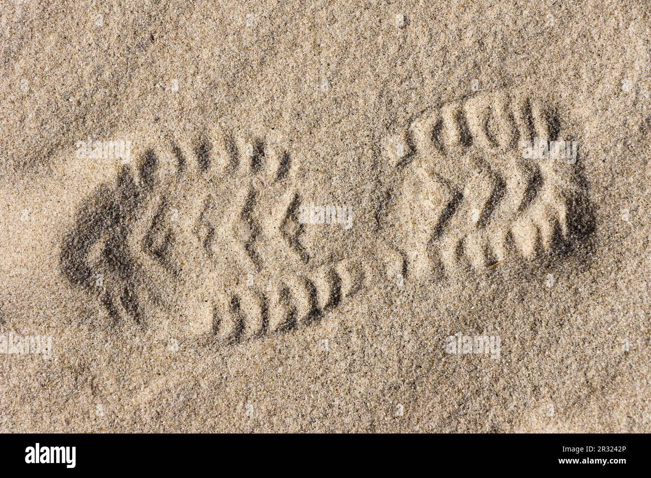 Shoe print in sand Stock Photo - Alamy