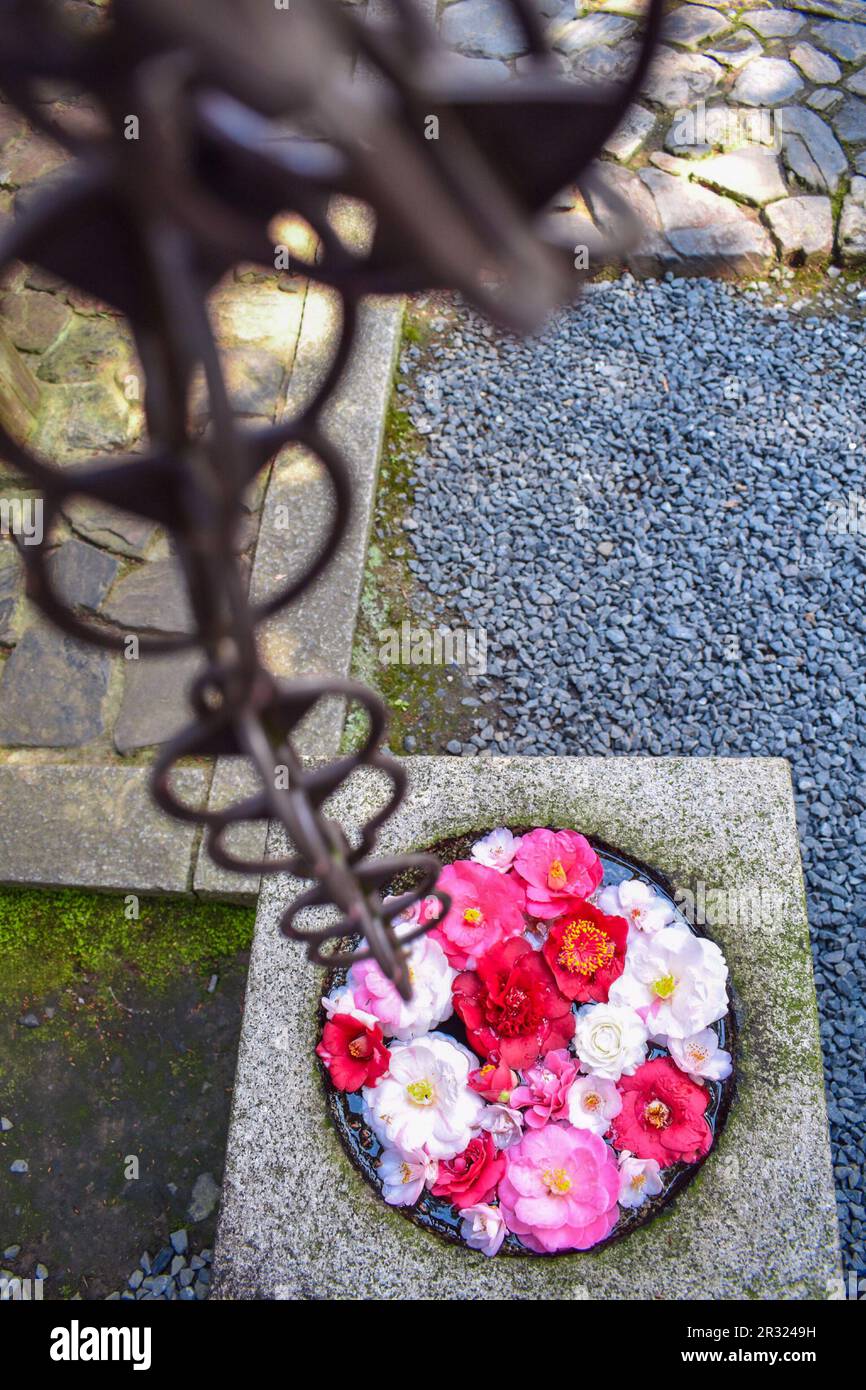 Kyoto, Japan - April 1st 2019; Water-shoot by Eikan-do temple Stock ...