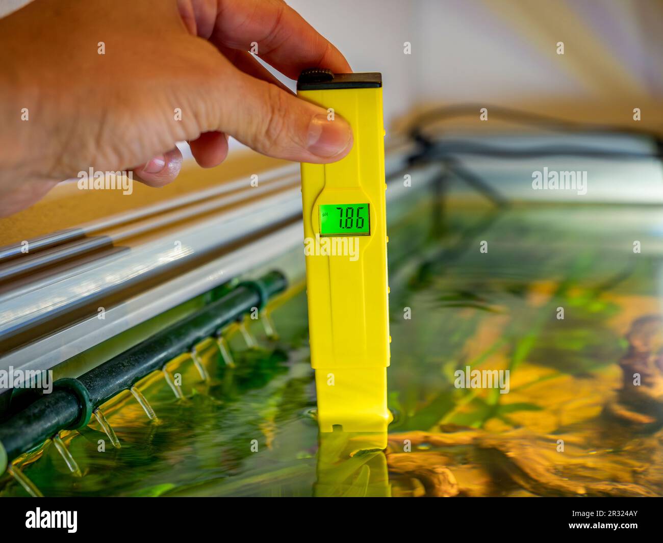 Ph meter aquarium hi-res stock photography and images - Alamy Ph meter aquarium hi-res stock photography and images - Alamy
