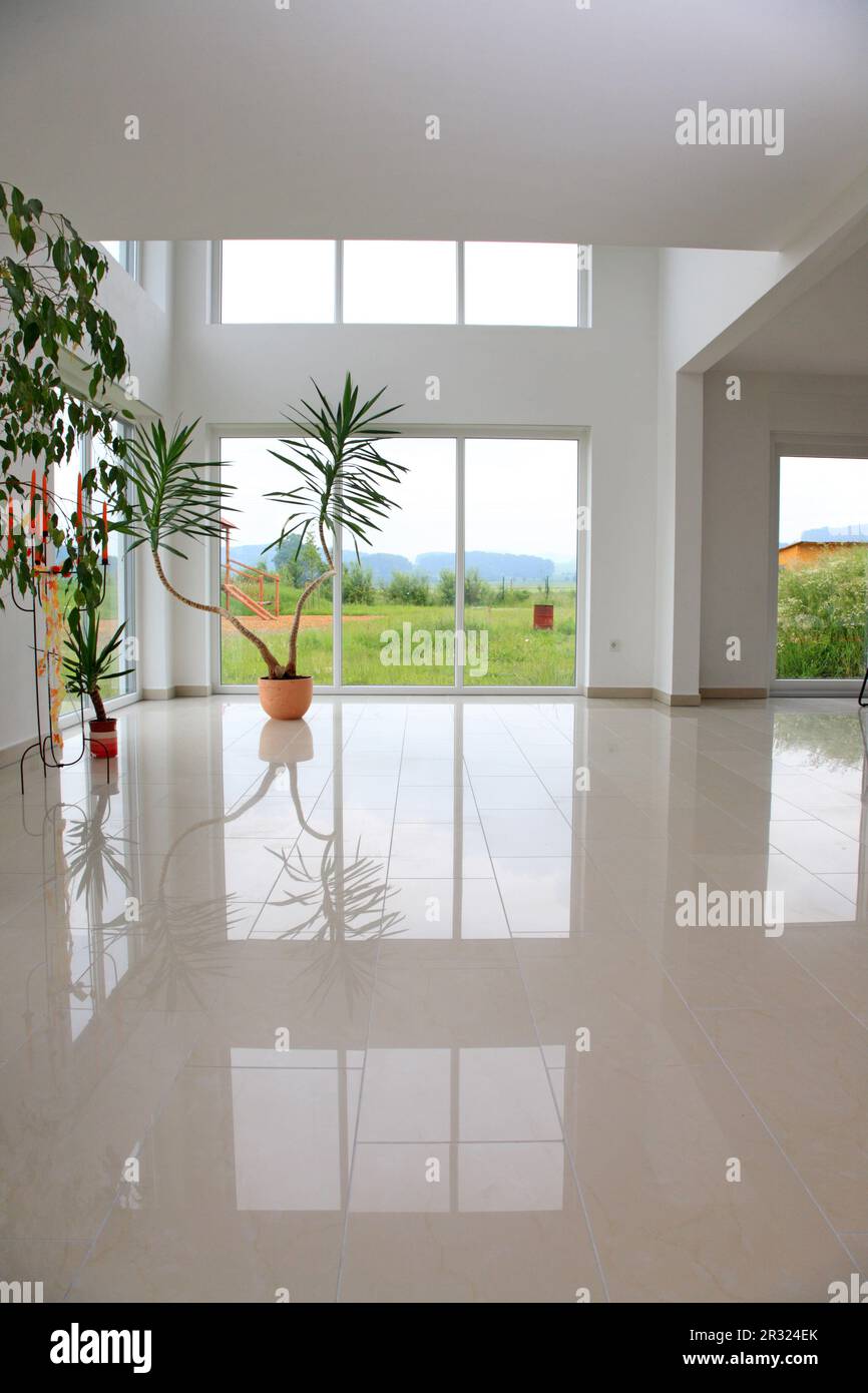 Entrance hall large modern hi-res stock photography and images - Alamy