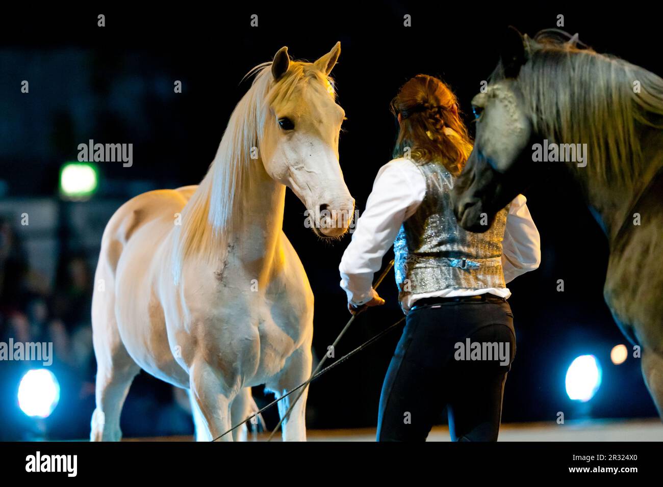 Apassionata In the Light of the Stars Stock Photo - Alamy