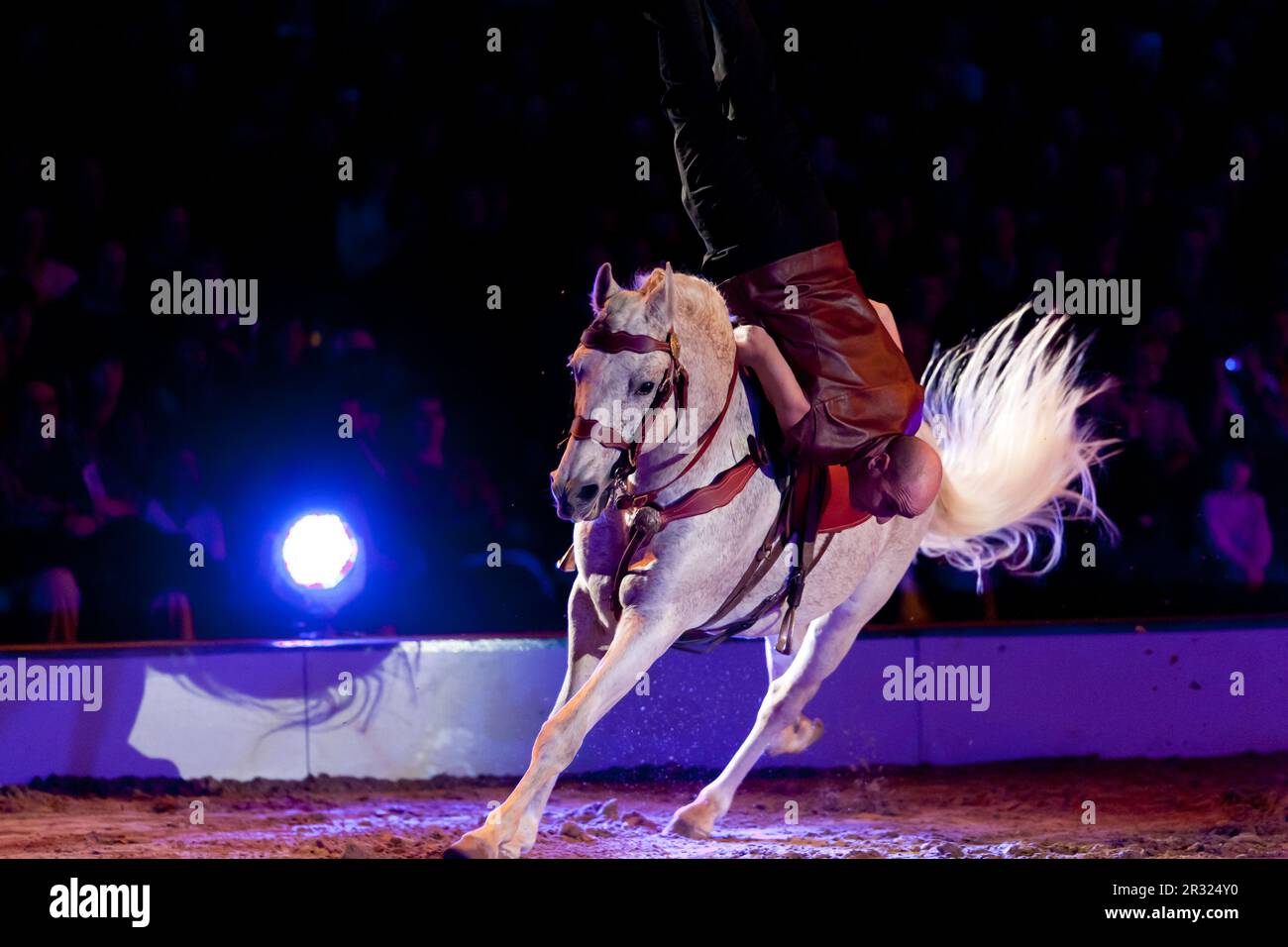 Apassionata In the Light of the Stars Stock Photo - Alamy