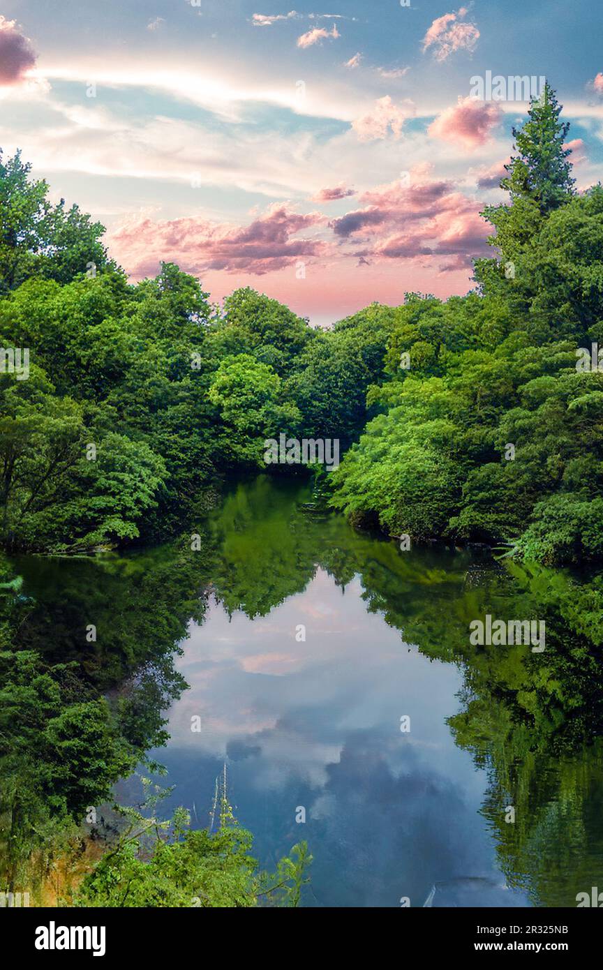 Beautiful lake surrounded woodland trees hi-res stock photography and ...