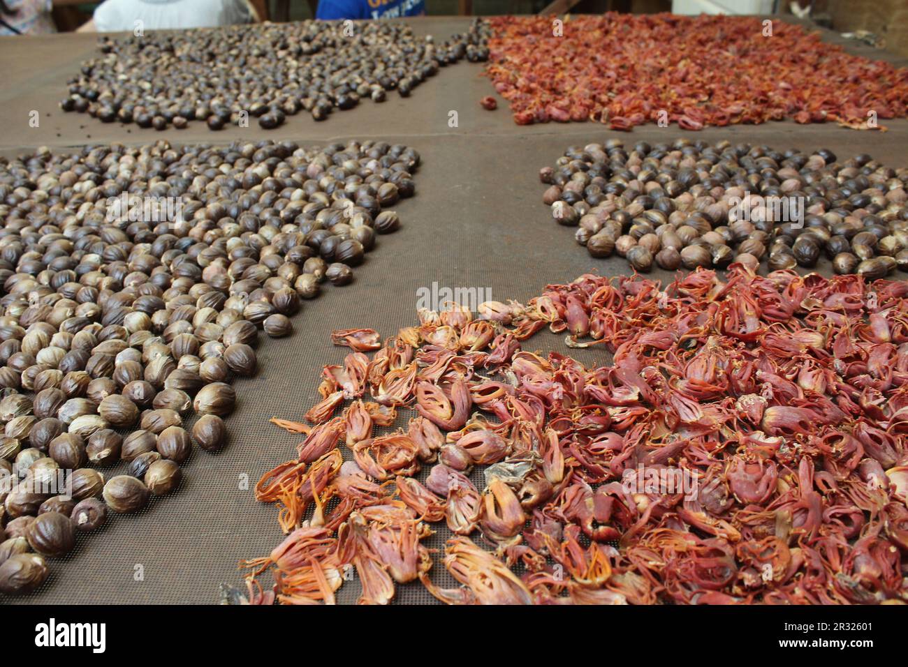 Mace nut spice hi-res stock photography and images - Alamy