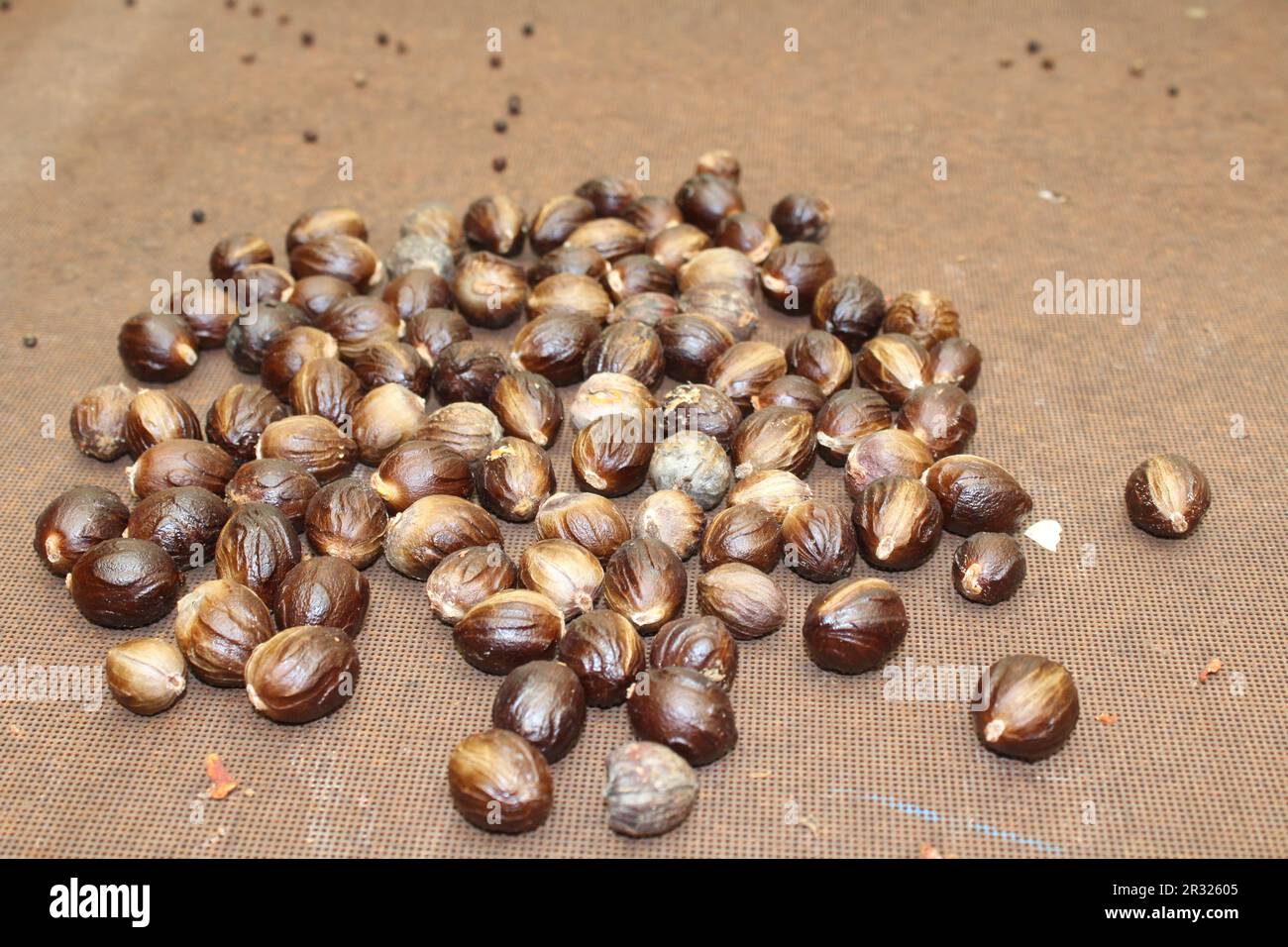 Nutmeg seeds hi-res stock photography and images - Alamy