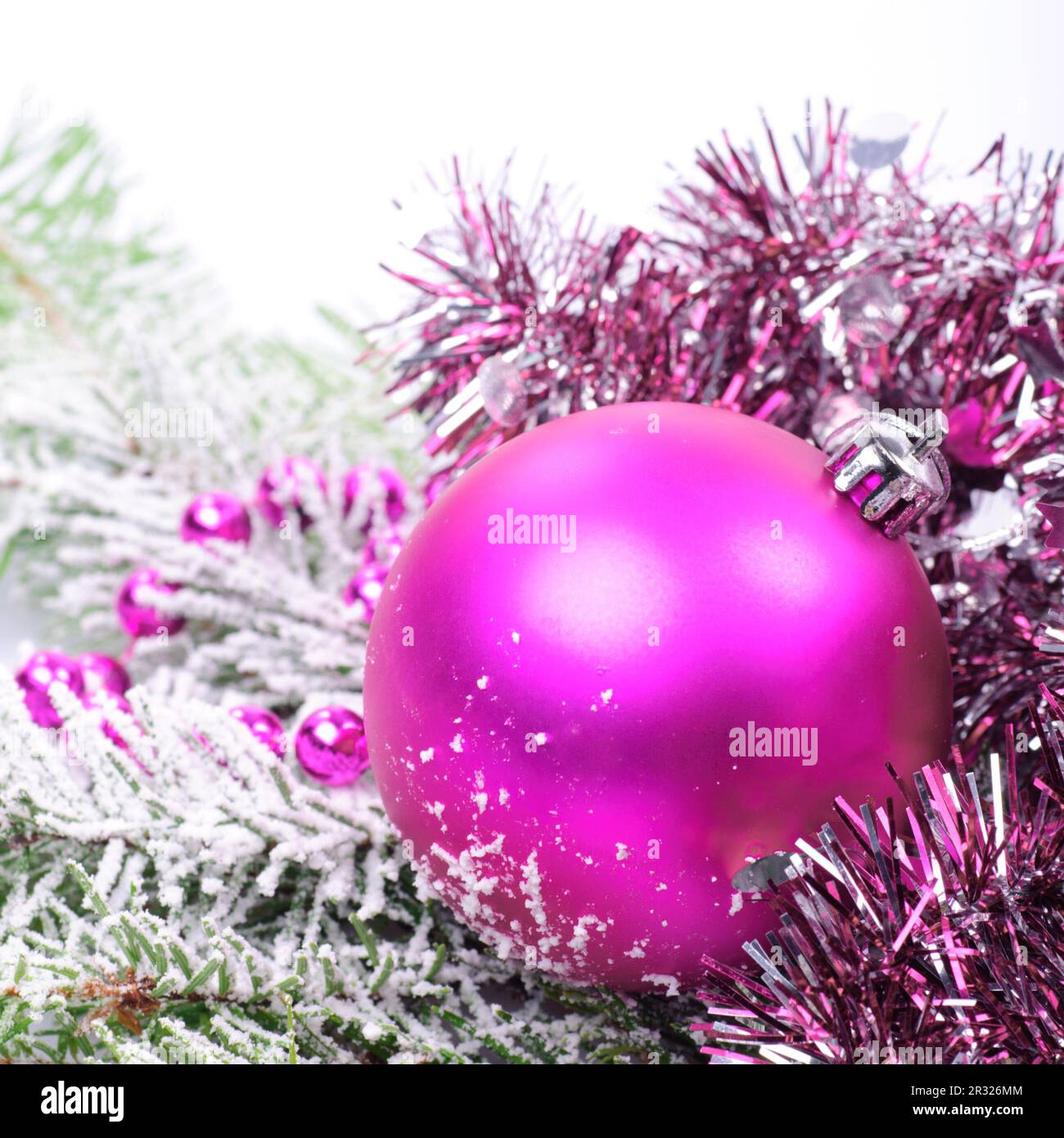 Christmas pink with snow Stock Photo - Alamy