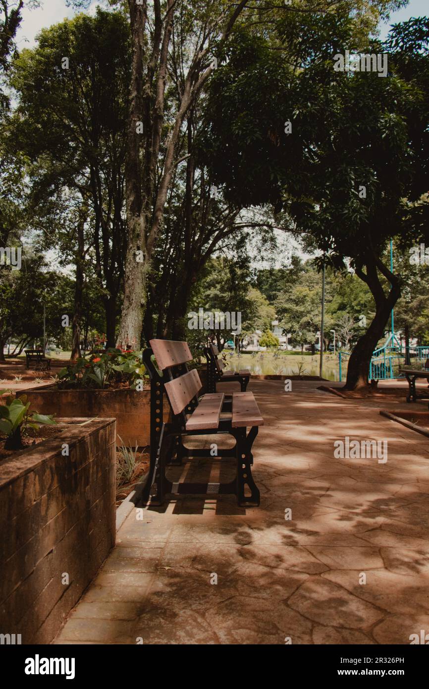 park wooden benches Stock Photo - Alamy