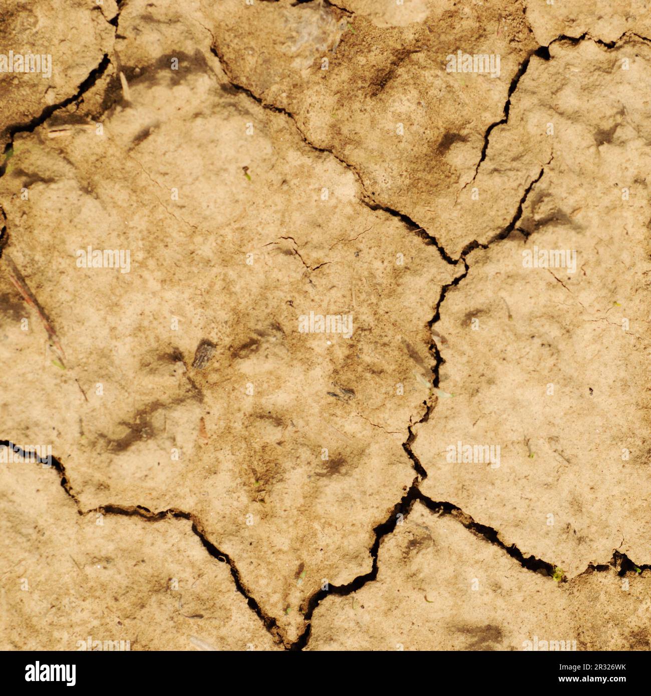 Dry soil texture Stock Photo - Alamy