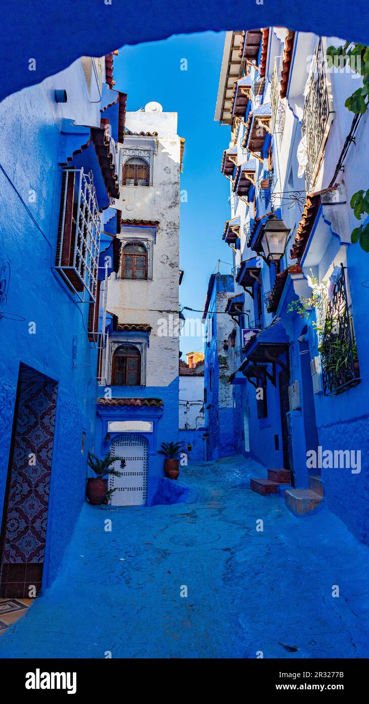Painted blue buildings in Chefchaouen, Morocco Stock Photo - Alamy