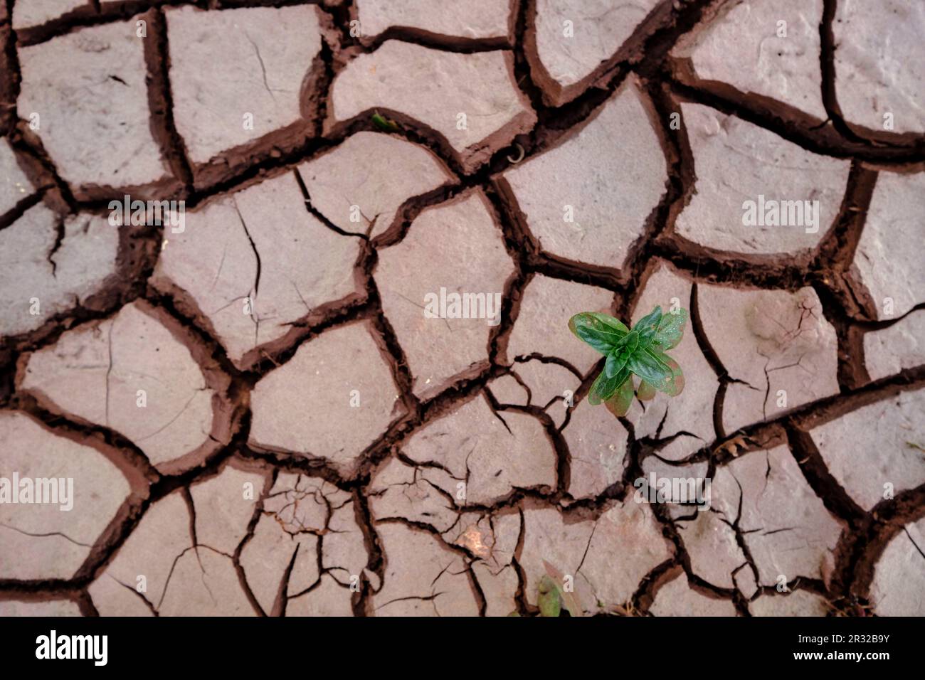 Tierra cuarteada hi-res stock photography and images - Alamy