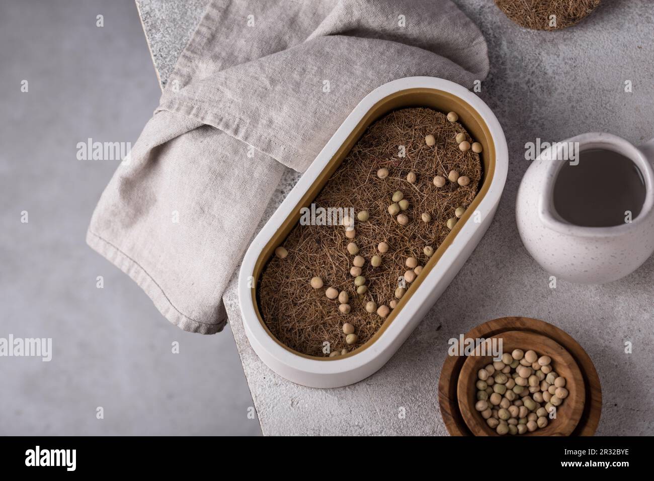 Alfalfa microgreens close up hi-res stock photography and images - Alamy