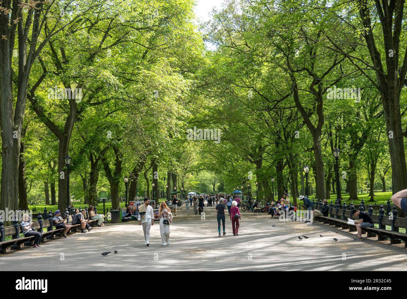 Poets' Walk in Central Park is popular in all seasons, New York City ...