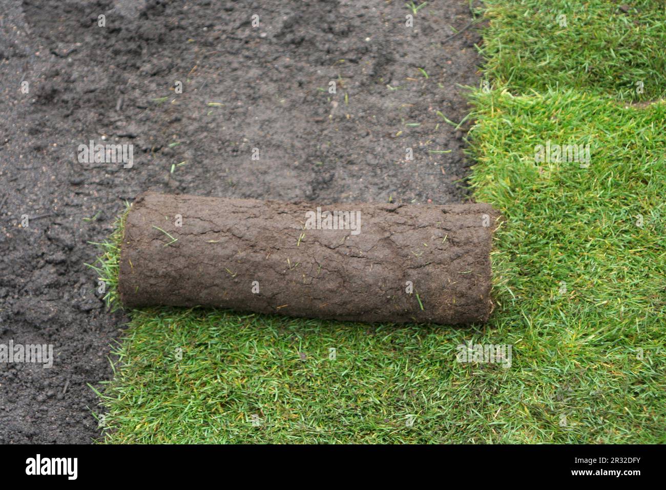 To lay a new turf Stock Photo - Alamy