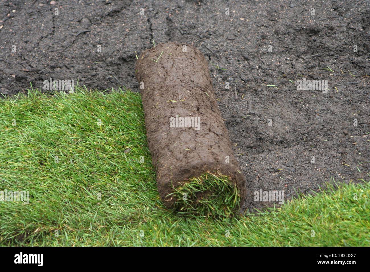 To lay a new turf Stock Photo - Alamy