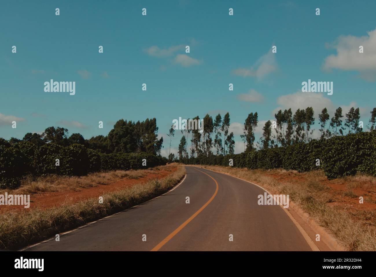 Beautiful country road hi-res stock photography and images - Alamy