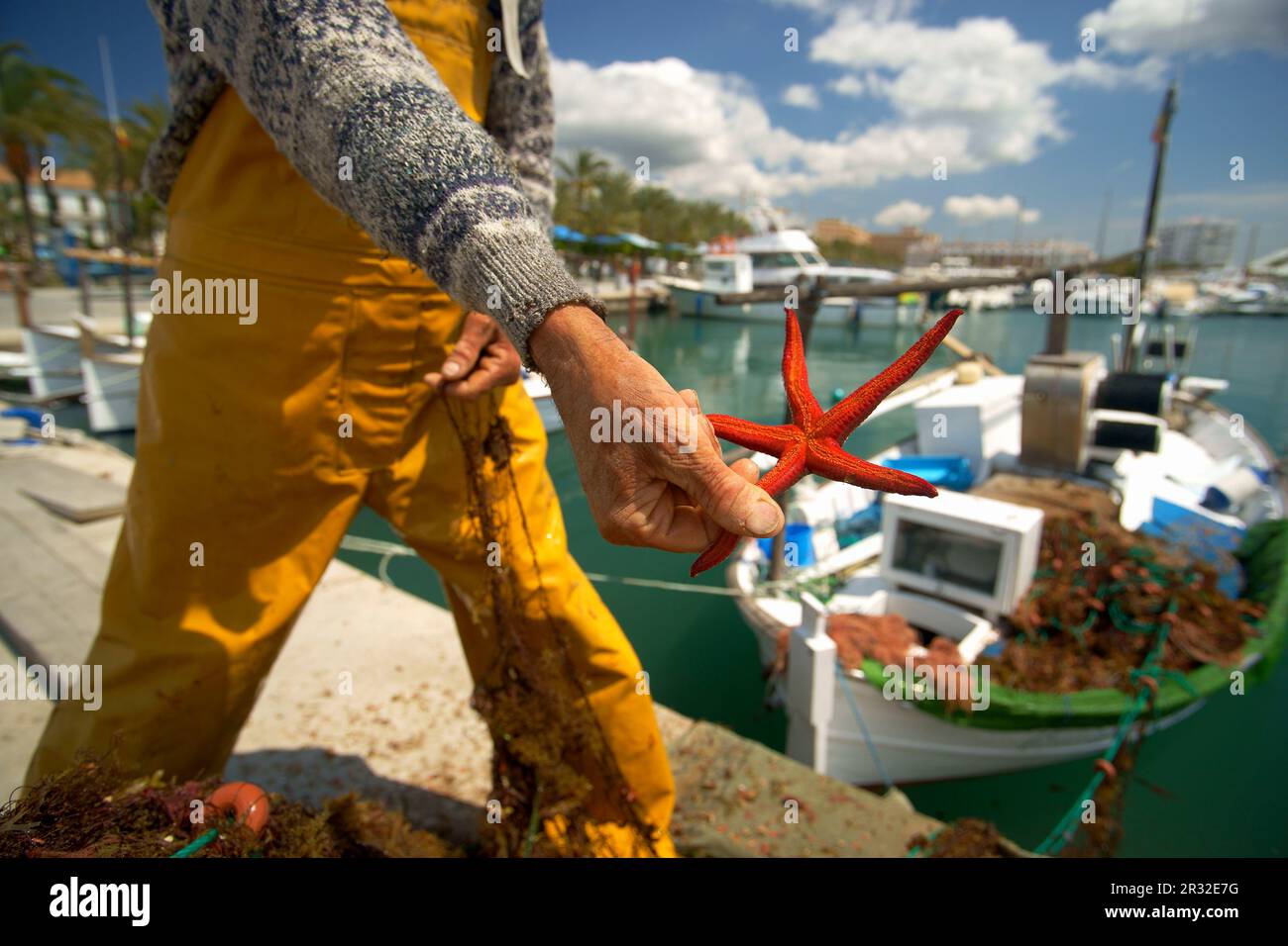 Pesca tradicional.Puerto de Sant Antoni.Ibiza.Illes Balears.España ...