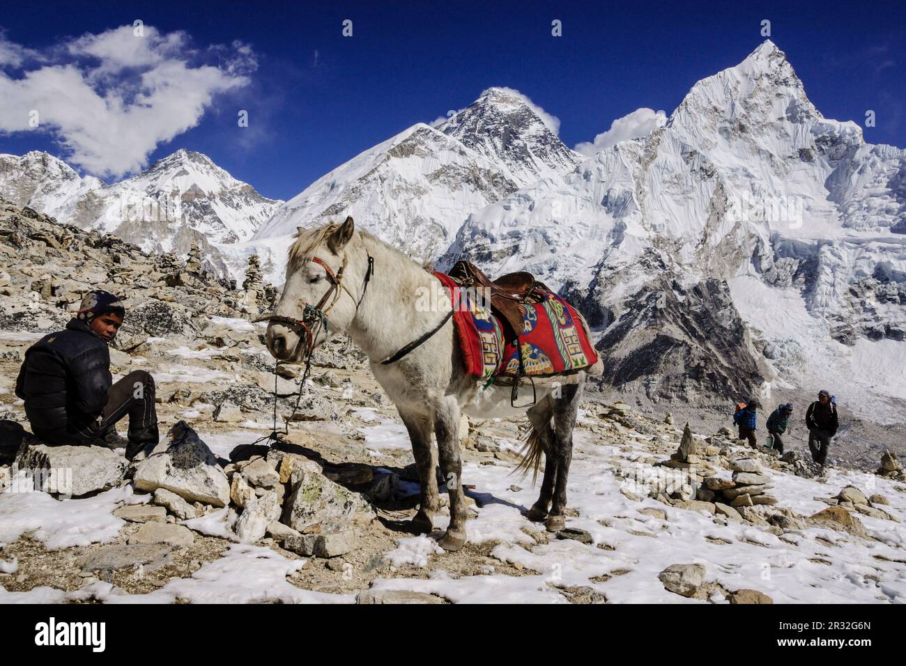 jinete y su caballo frente al monte Everest, 8848mts.Sagarmatha ...