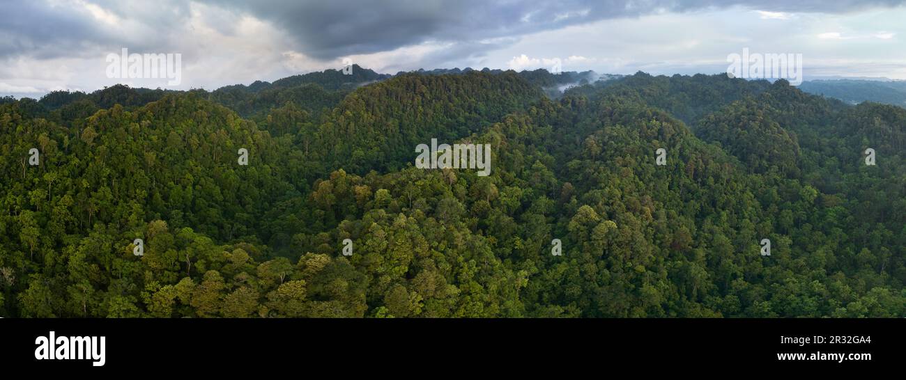 Remote, rugged islands in West Papua, Indonesia, are covered by thick ...