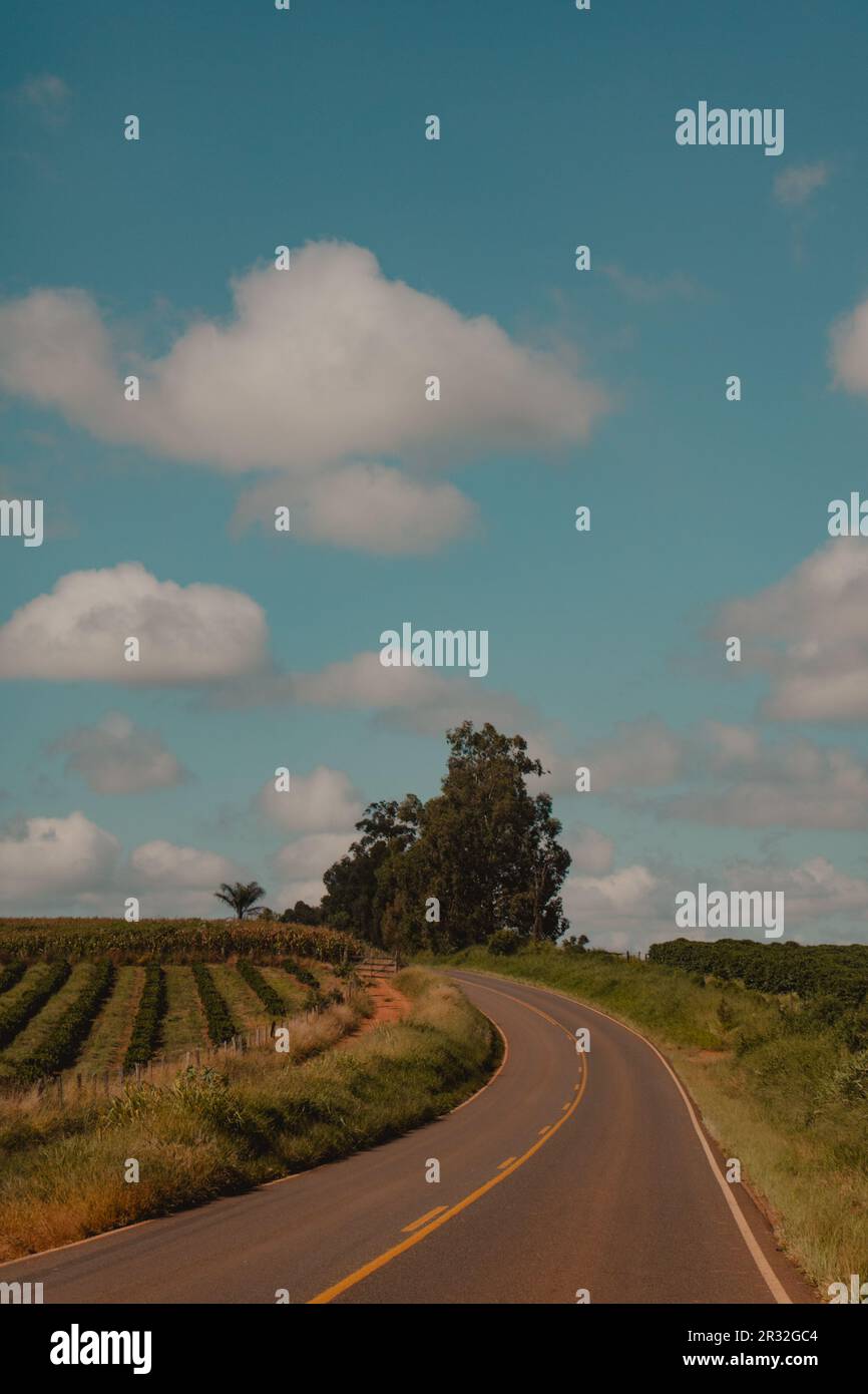 road curving left at coffee plantation Stock Photo - Alamy
